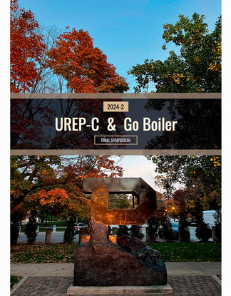 Undergraduate Research Experience Purdue - Colombia (UREP-C) | Colombia Purdue Partnership